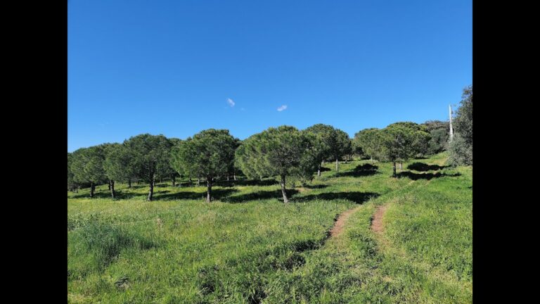 Previsão Meteorológica em Portimão: Descubra as Surpresas do Clima ...